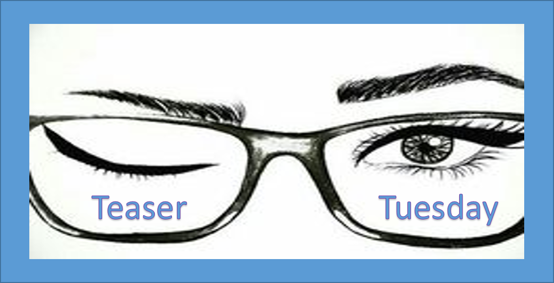 Teaser Tuesday 2/2 – Carry a Big Book